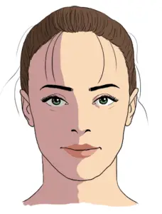Where Are The Shadows On A Face? [And How To Draw Them]