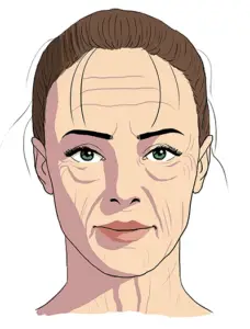 Where Are The Shadows On A Face? [And How To Draw Them]