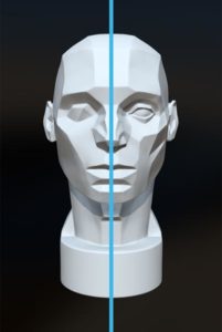 The Asaro Head: How To Master The Planes Of The Head