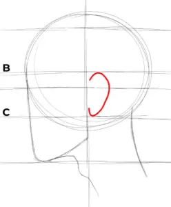 How Anyone Can Draw A Stunning Side Profile In 13 Steps