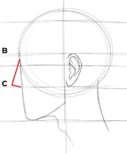 How Anyone Can Draw A Stunning Side Profile In 13 Steps