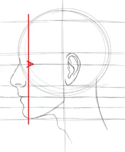 How Anyone Can Draw A Stunning Side Profile In 13 Steps